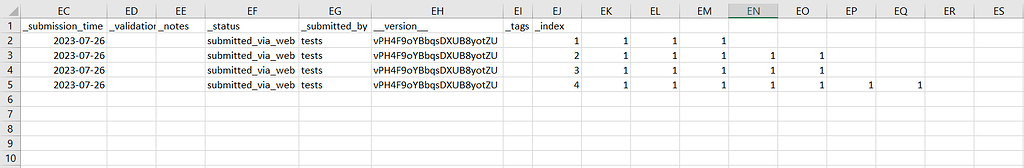 Data Outputs With Extra Columns Data Management KoboToolbox