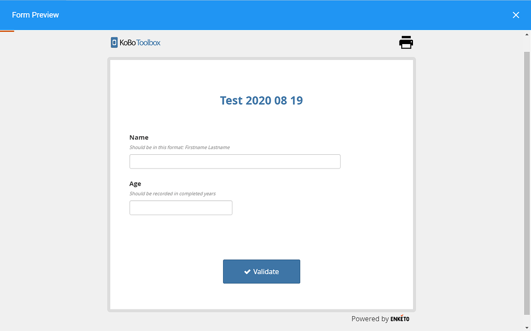 Including instruction/description text - Form Building - KoboToolbox Community Forum