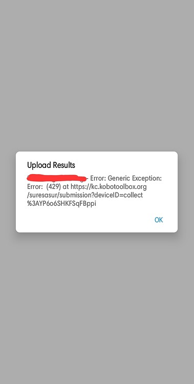How to solve error 429? - Data Collection - KoboToolbox Community Forum
