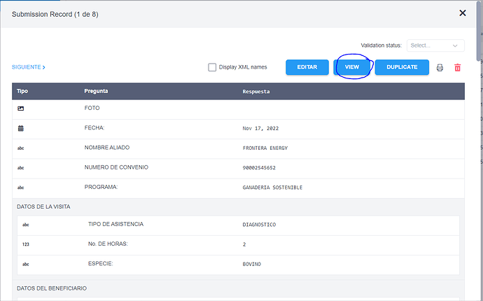 Error viewing forms - Data Management - KoboToolbox Community Forum