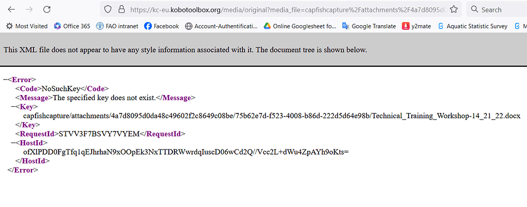 Cannot Download file - Data Management - KoboToolbox Community Forum