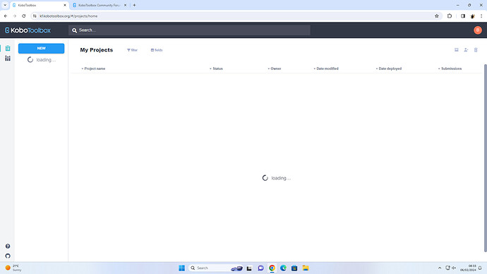 Error display - Account Issues - KoboToolbox Community Forum