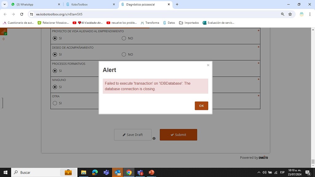 Error Saving Or Submitting Form Data Collection Kobotoolbox Community Forum
