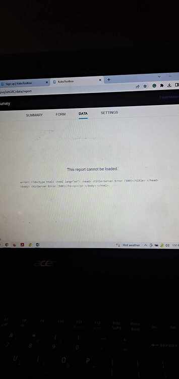 Report cannot be loaded - Data Management - KoboToolbox Community Forum
