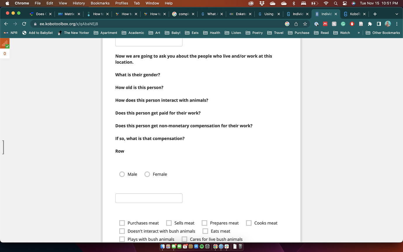 Enketo form not displaying correctly - Form Building - KoboToolbox ... Enketo form not displaying correctly - Form Building - KoboToolbox ...