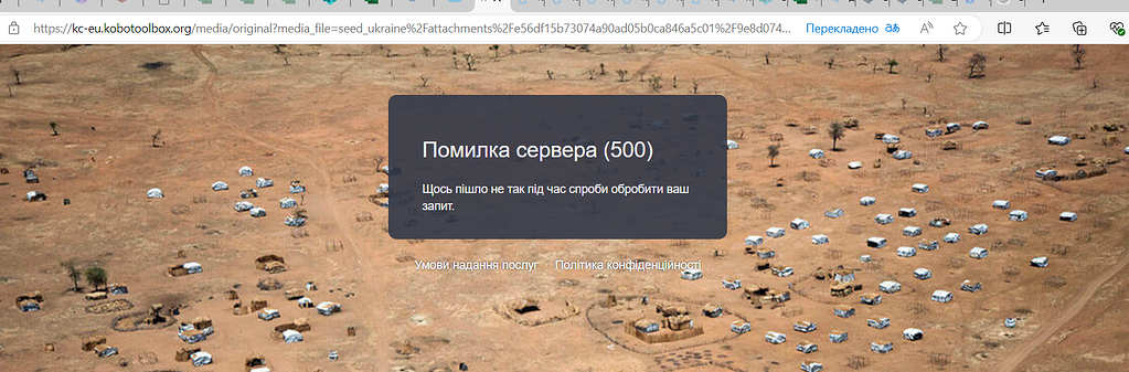 Server Errors 500 - Data Management - KoboToolbox Community Forum