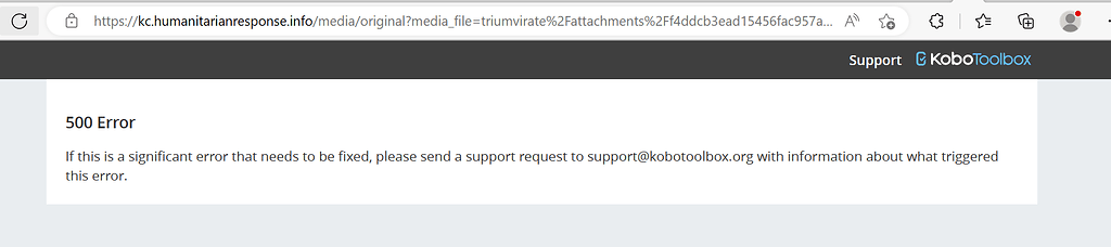 Missing the audio background on the server - Data Management - KoboToolbox Community Forum