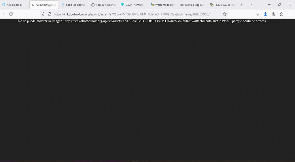 Link to multimedia files - Data Management - KoboToolbox Community Forum