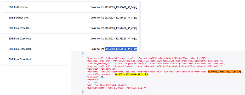 Images not Showing in Submission View - Kobo On Your Own Server - KoboToolbox Community Forum
