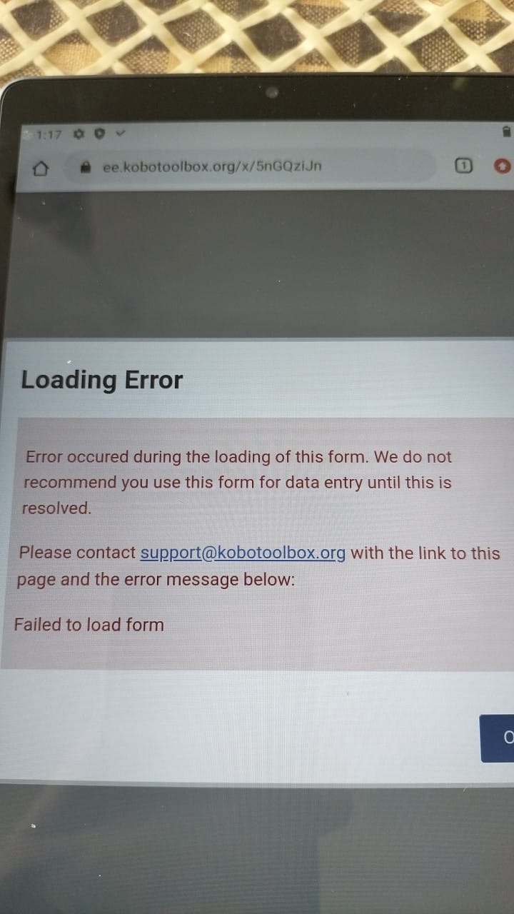 Why does enketo form hangs? - Data Collection - KoboToolbox Community Forum