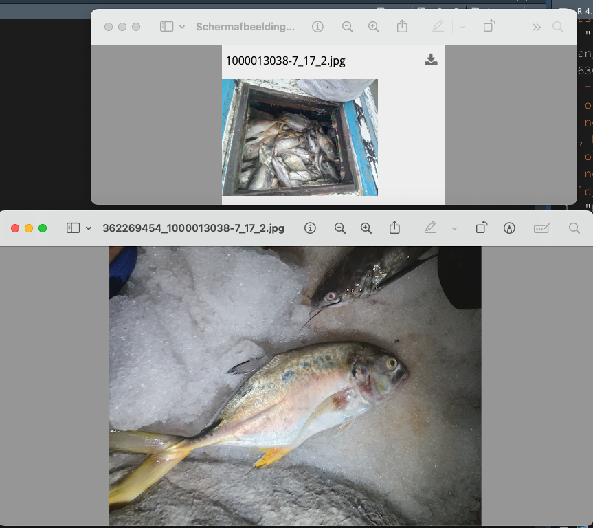 Introducing the R package robotoolbox - Page 4 - Data Management ...